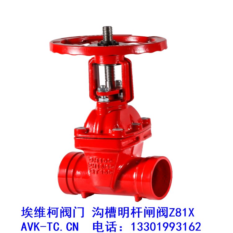 沟槽明杆闸阀Z81X-16Q - 埃维柯阀门科技(太仓)有限公司